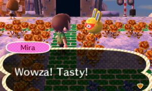 Jeff's New Leaf Blog - Animal Crossing: New Leaf